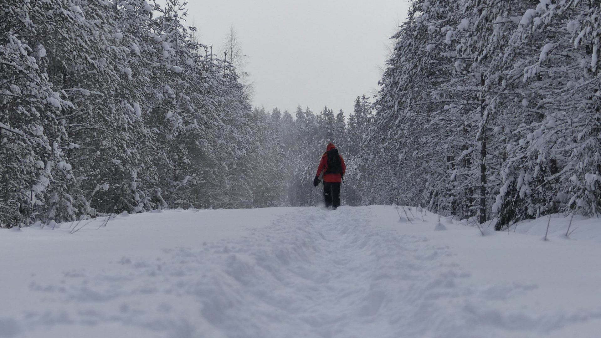 Kitee, Jääkellarilouhi | VisitKarelia