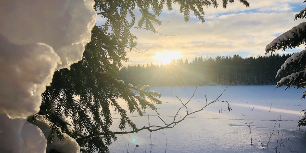 Yhdyslatu Ahdintie-Kuorevaara-Huhmari | VisitKarelia