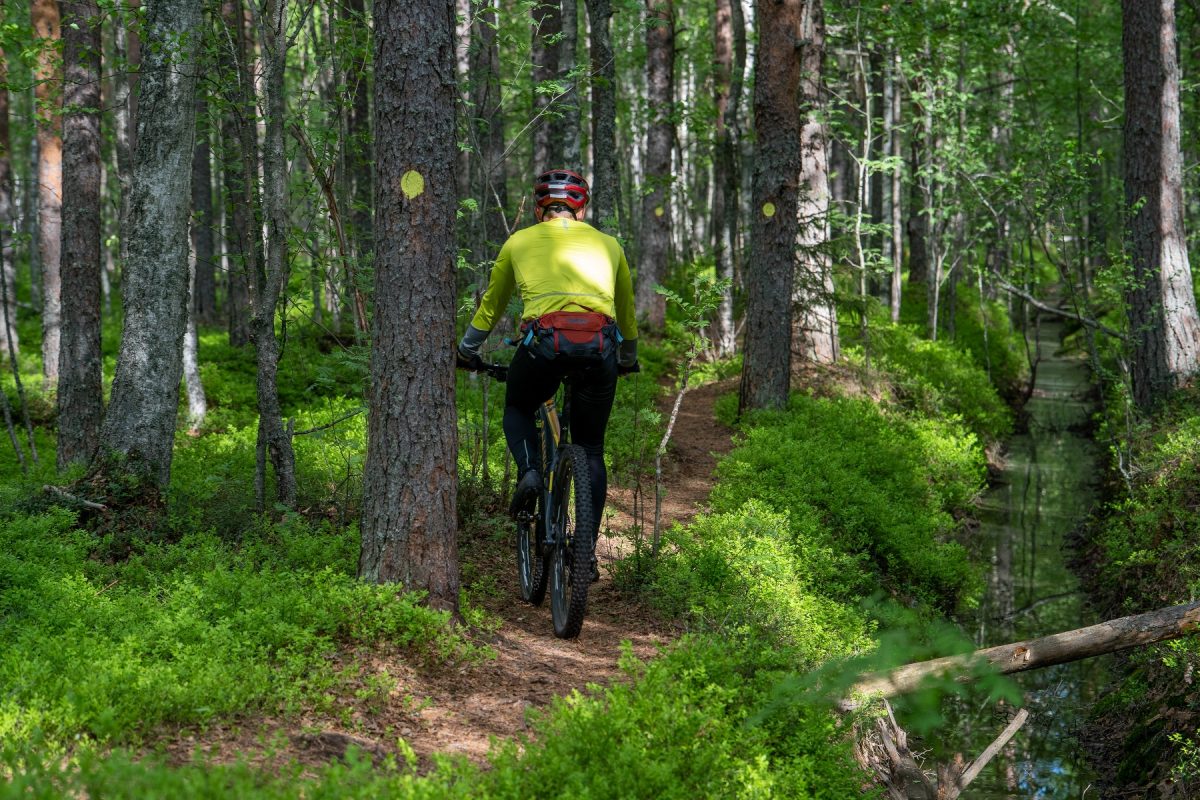 Harjupolut-reitistön parhaat palat | VisitKarelia