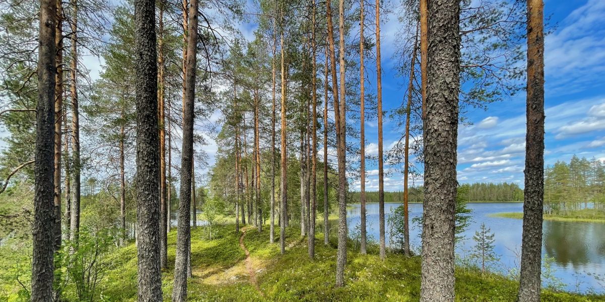 Susitaival | VisitKarelia