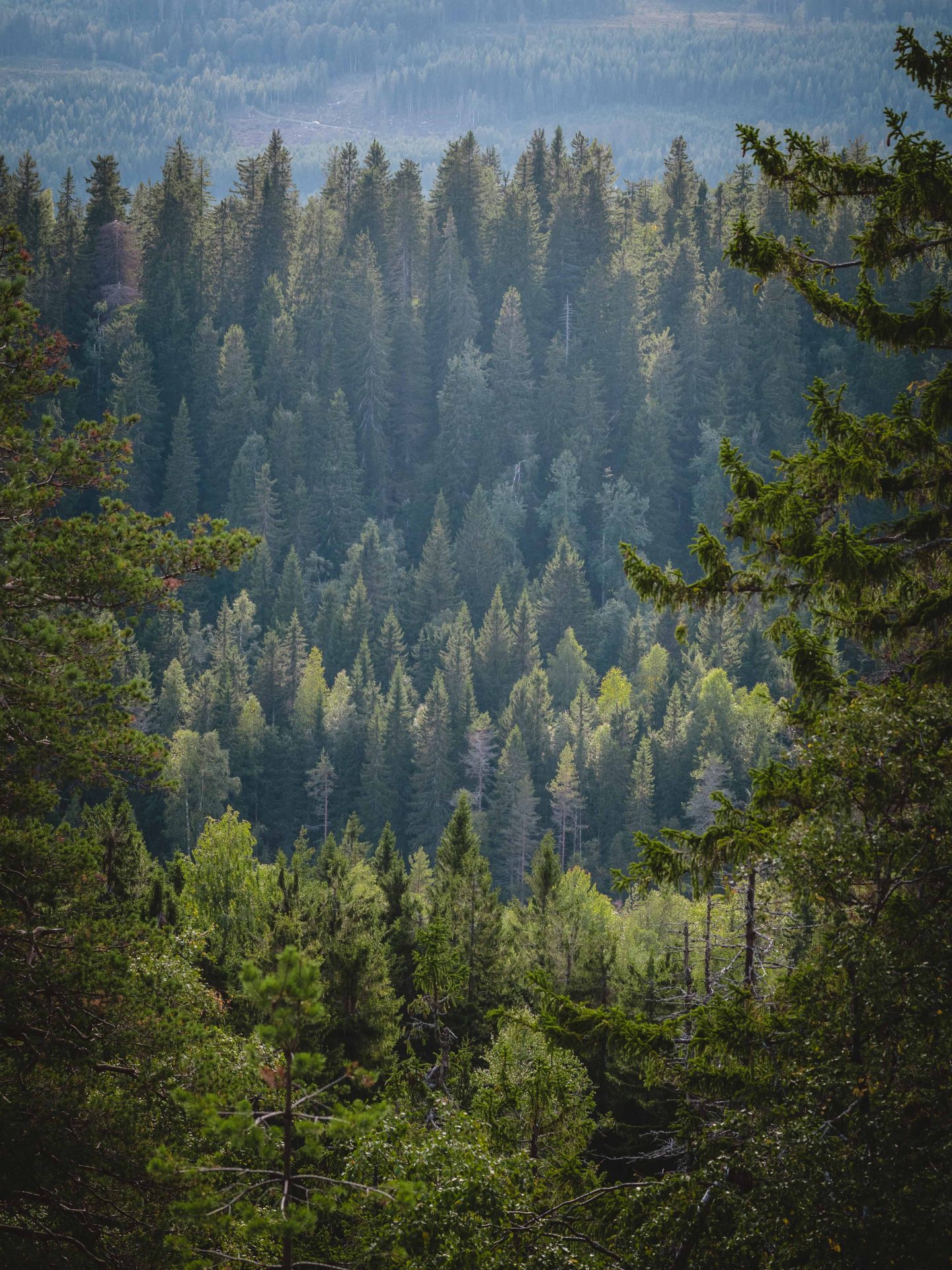 VisitKarelia - North Karelia for travelers